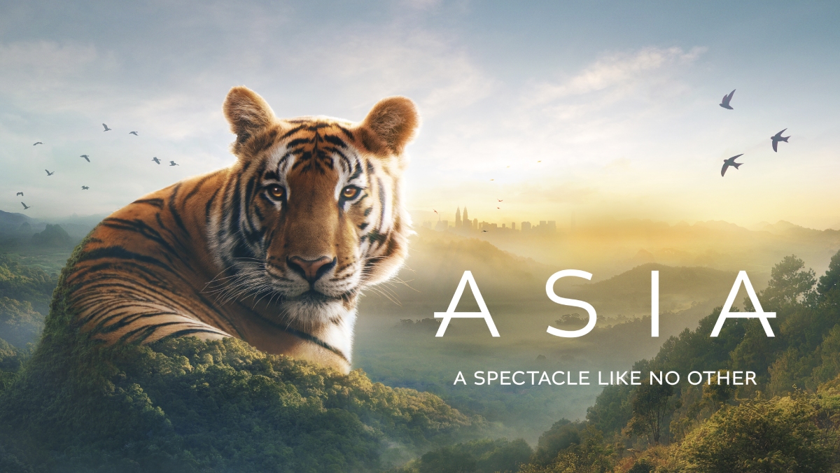 知性精選影片線上看 - 影劇館⁺ | HamiVideo